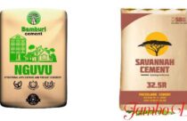 Who Owns Devki Group Of Companies? Narendra Raval Wealth