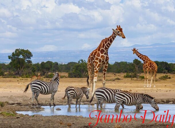 List of 10 Interesting Things to Do in Laikipia County - Jambo Daily