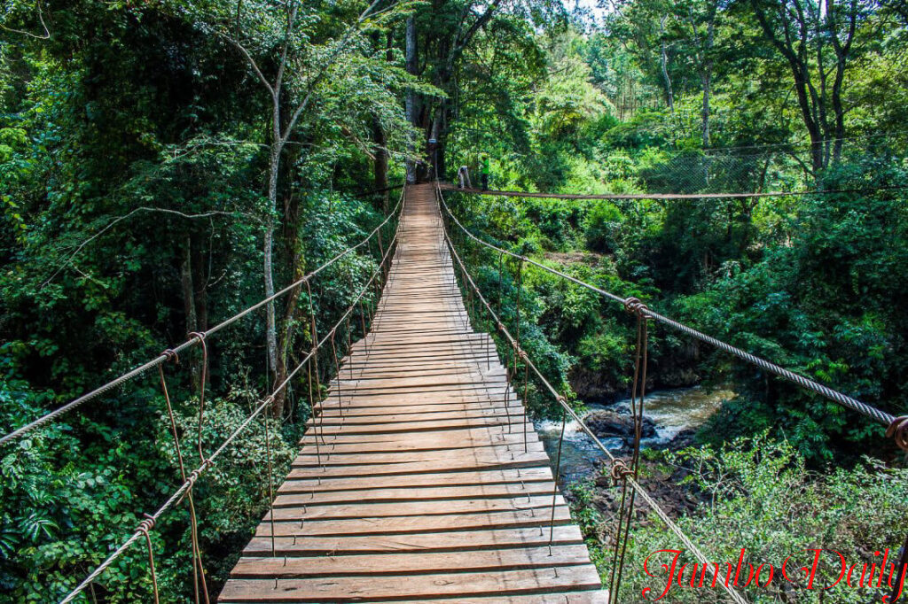 List of 10 Interesting Things to Do in Embu County - Jambo Daily