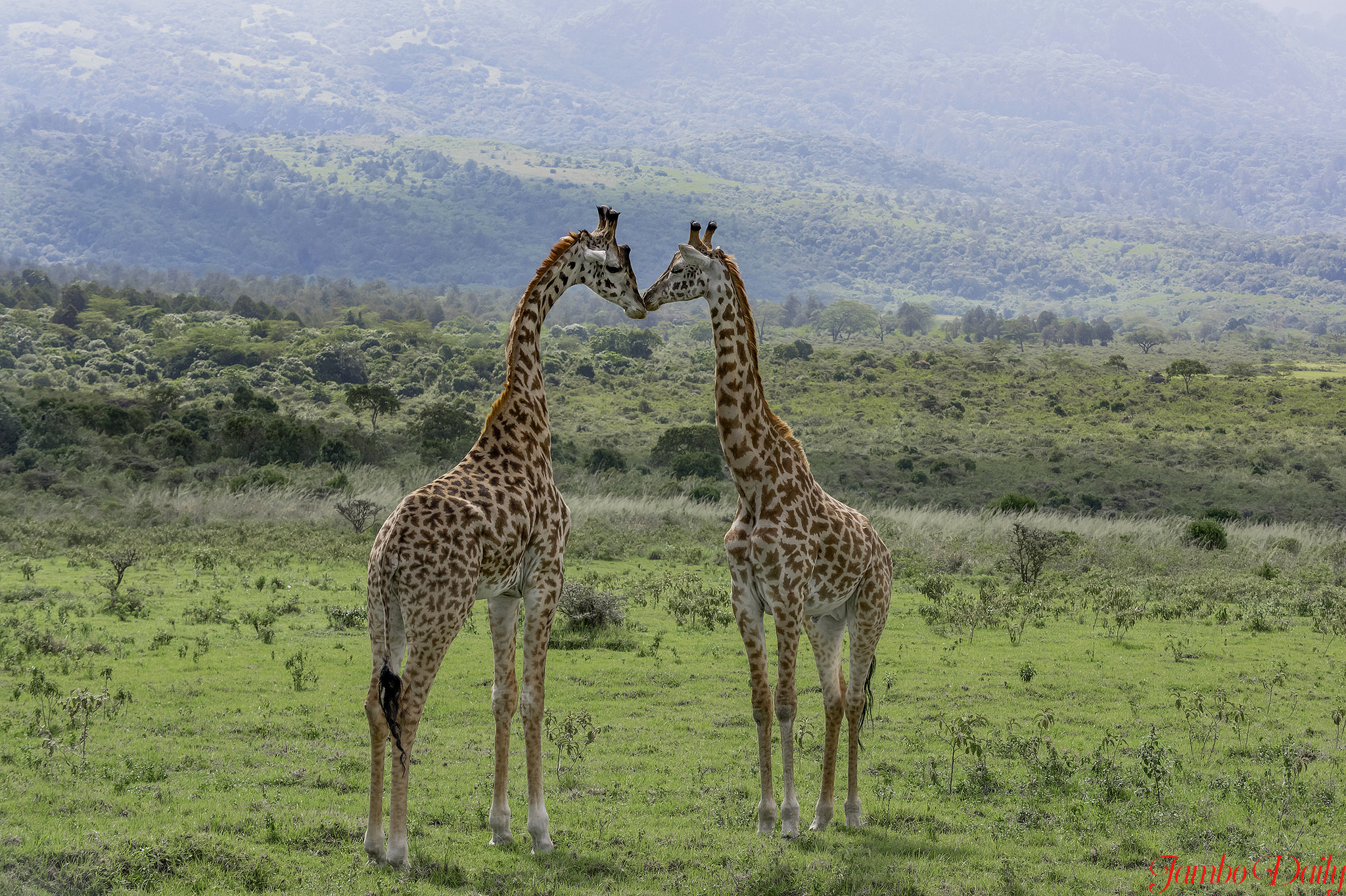 List of 10 Interesting Things to Do in Meru County - Jambo Daily