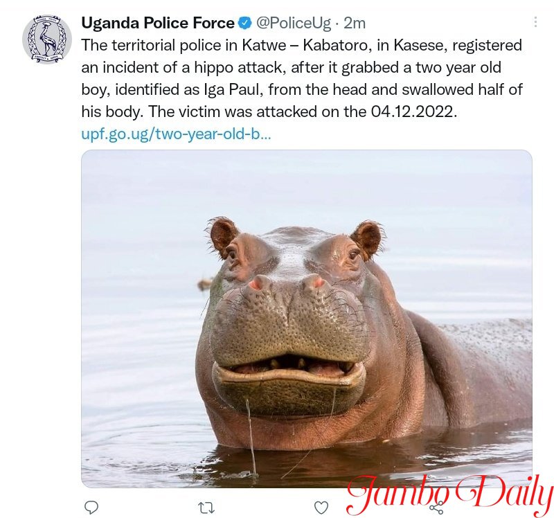 Shock as Child is Swallowed by Hippo, Spat out and Survived! - Jambo Daily