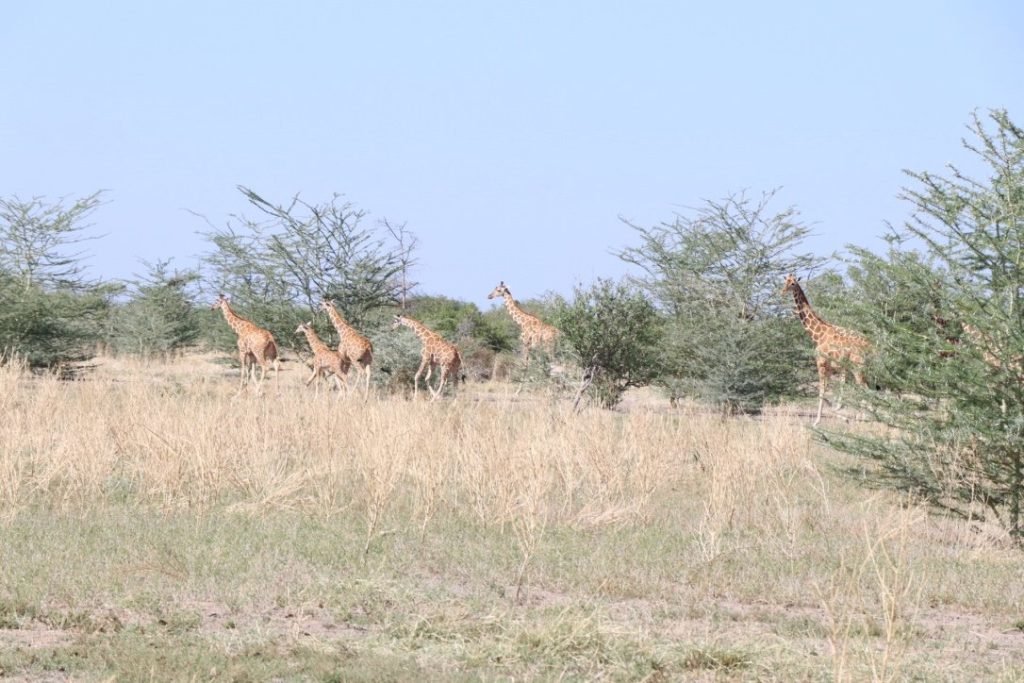 List of 10 Interesting Things to do in Wajir County - Jambo Daily