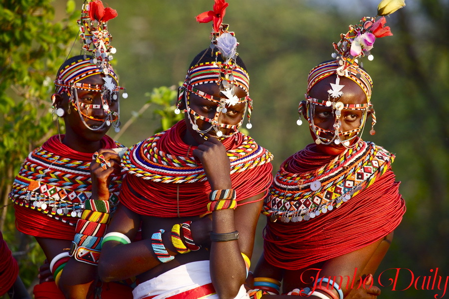 Bus Fare Prices from Nairobi to Samburu County - Jambo Daily