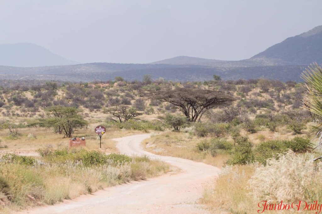 Bus Fare Prices from Nairobi to Samburu County - Jambo Daily